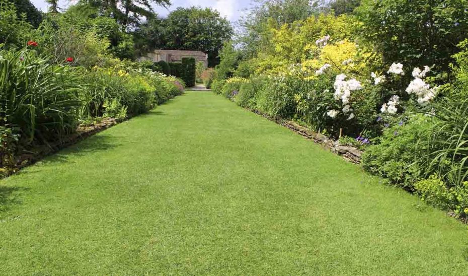 Comment avoir une belle pelouse - Entretenir sa pelouse - Pelouse bien ...