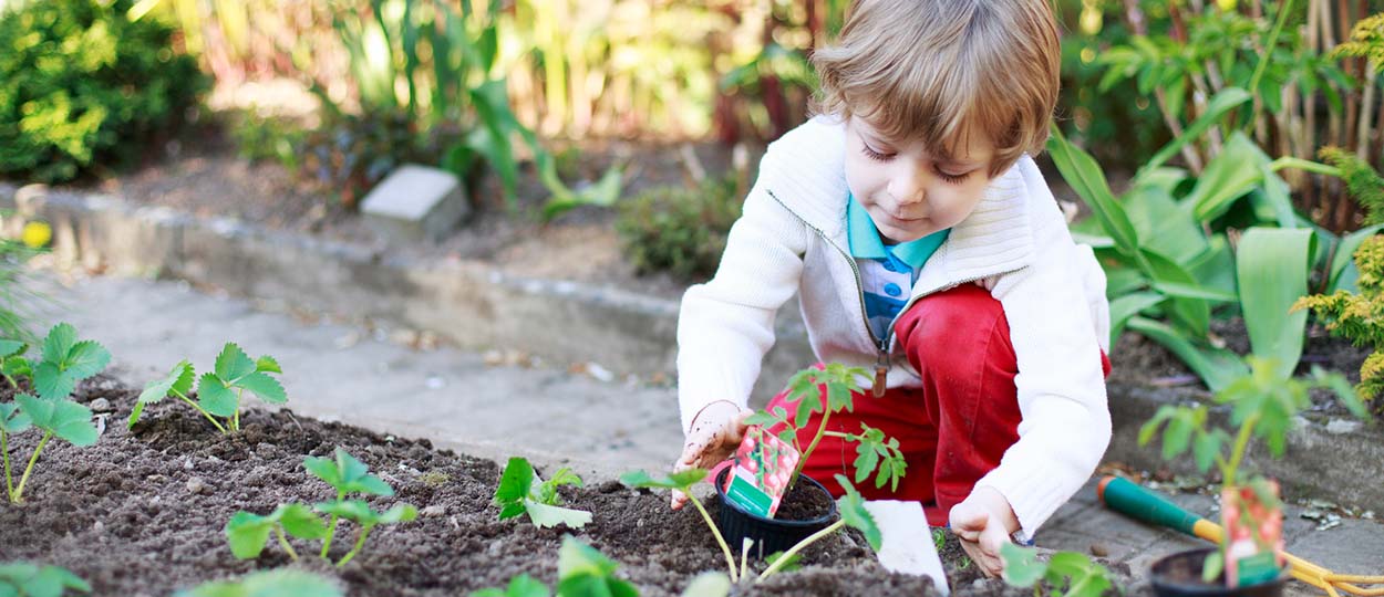 Comment bien jardiner avec son enfant - Entretenir son potager avec ses ...
