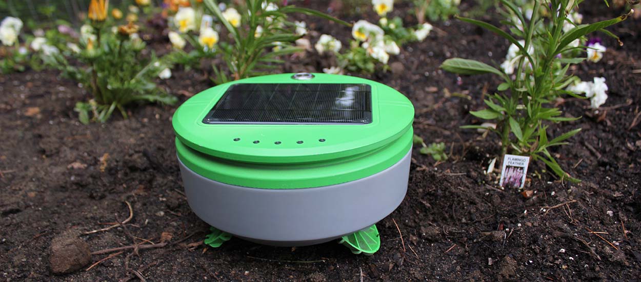 Franklin Robotics présente Tertill, robot jardinier qui désherbe le potager
