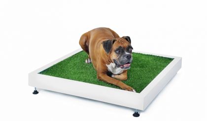 Woofloo : une litière pour chien autonettoyante qui fonctionne seule ...