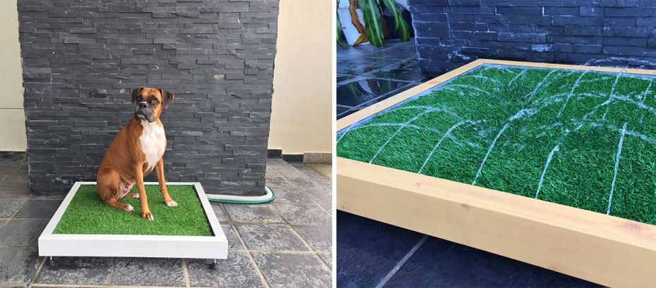 Woofloo : une litière pour chien autonettoyante qui fonctionne seule ...