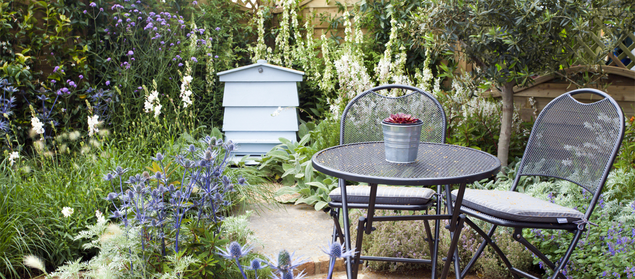 Plantes et jardins: quelles plantes vertes d'extérieur choisir pour mon ...
