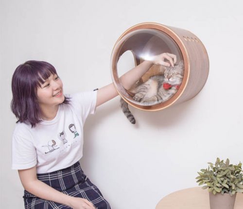 Comment fabriquer un griffoir pour chat ? 7 idées originales et pas chères