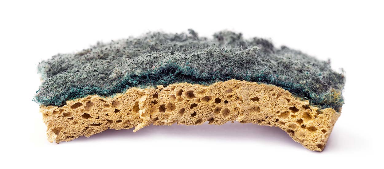 Combien de temps peut-on garder une éponge