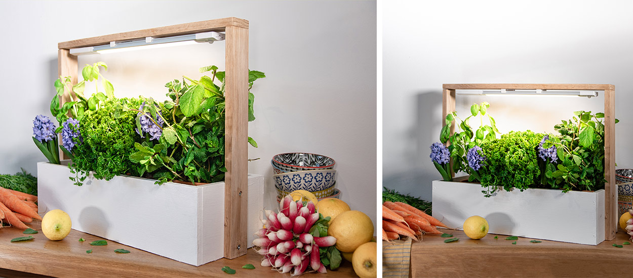 DIY potager d'intérieur : faire pousser des herbes fraiches dans sa ...