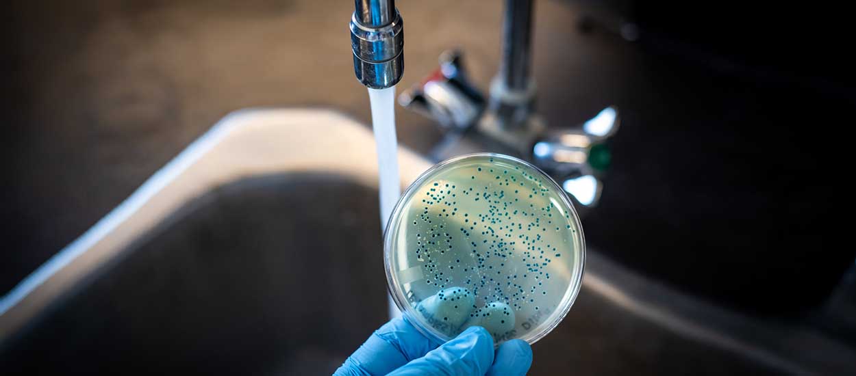 Contre la légionellose, comment entretenir son réseau d'eau chaude