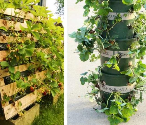 Comment fabriquer une tour à pommes de terre ? 5 idées récup'