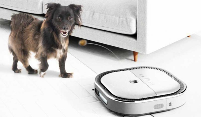 Ce robot aspirateur s'occupe aussi du chien pendant la journée