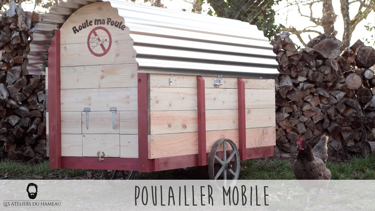 Ils construisent un poulailler mobile pour améliorer le confort de ...