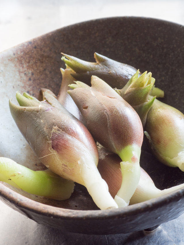 13 variétés de fruits et légumes rares à planter dans son jardin
