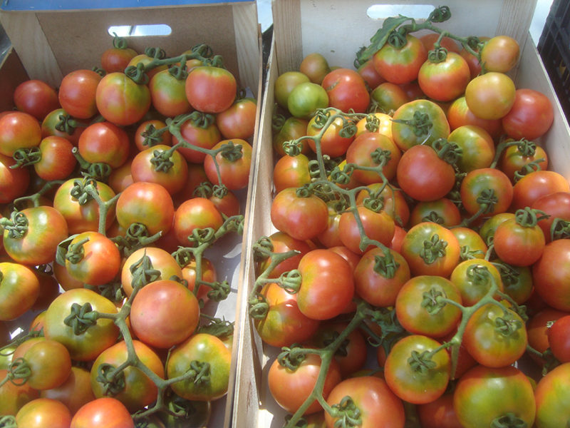 13 variétés de fruits et légumes rares à planter dans son jardin