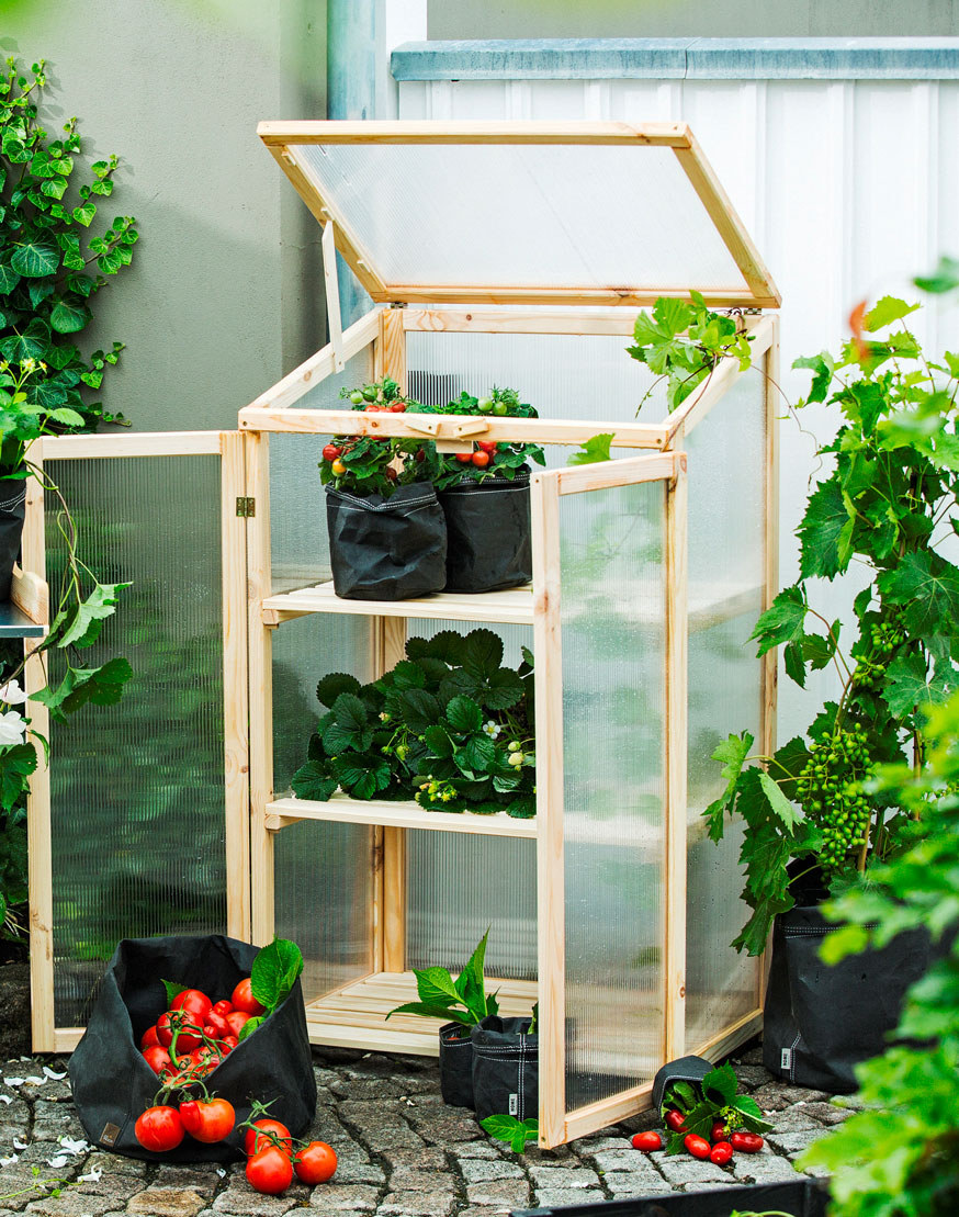 6 idées pour faire une mini-serre à semis sur un balcon