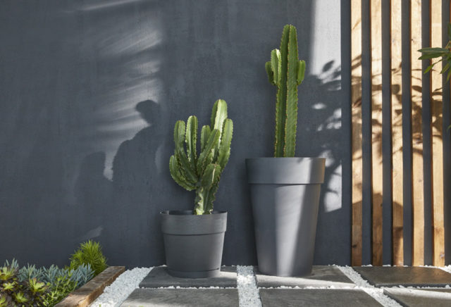 Jardin ou cour extérieure : Quelle couleur tendance pour relooker vos ...