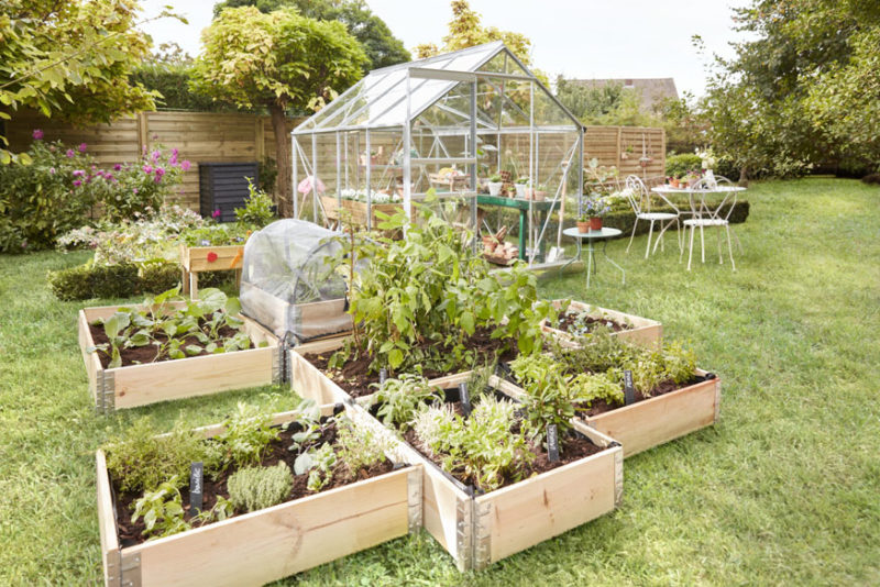 6 conseils pour réussir son carré potager