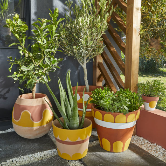 Astuces déco : Nos idées pour aménager votre cour devant la maison