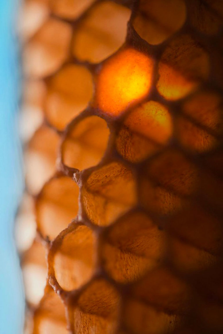 Une climatisation naturelle en terre cuite inspirée des abeilles