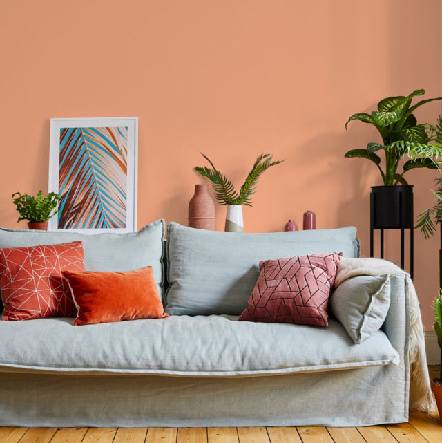 Apportez réconfort et douceur avec la teinte "Peach Fuzz", la couleur ...
