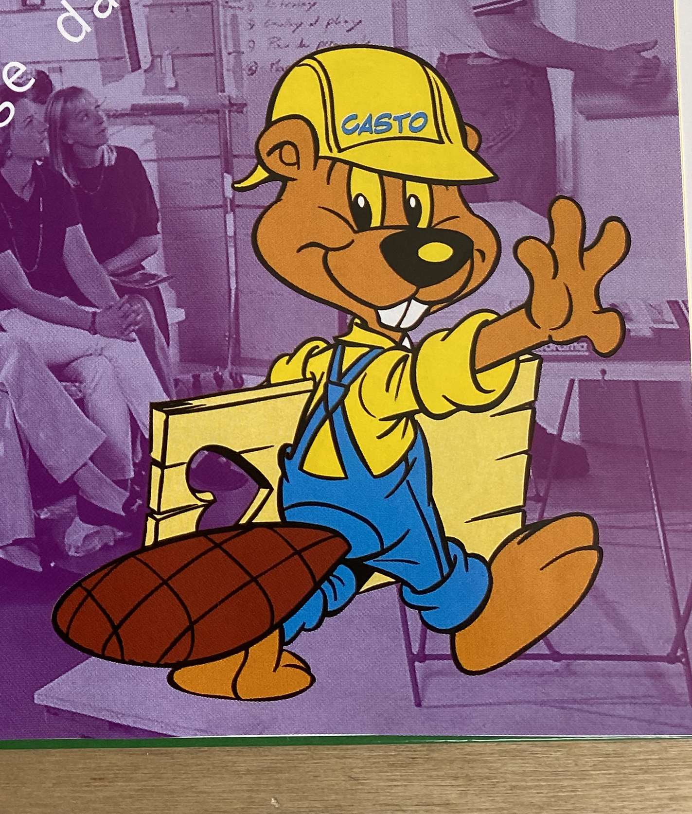 Qui est le castor ? Comment ce rongeur a failli disparaître, avant de ...