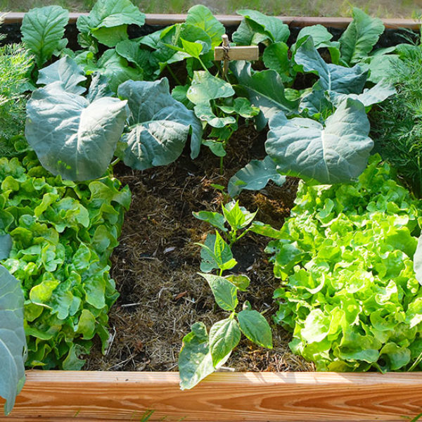 Tuto jardin : 6 DIY pour créer son propre potager intérieur ou extérieur