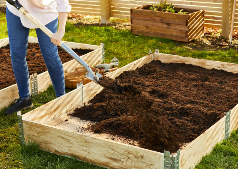 6 conseils pour réussir son carré potager