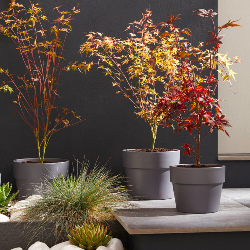 Quel pot de fleurs choisir ? Notre sélection pour tous les styles